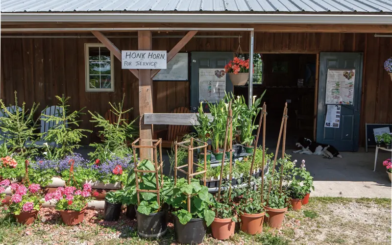 Home | Township of Huron-Kinloss